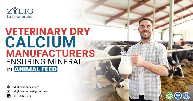 Trusted Veterinary Dry Calcium Manufacturers for Animal Feed